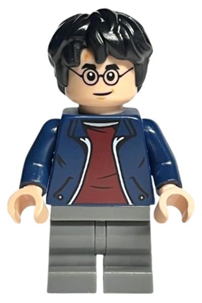 LEGO Harry Potter Minifigure hp380 | BrickEconomy