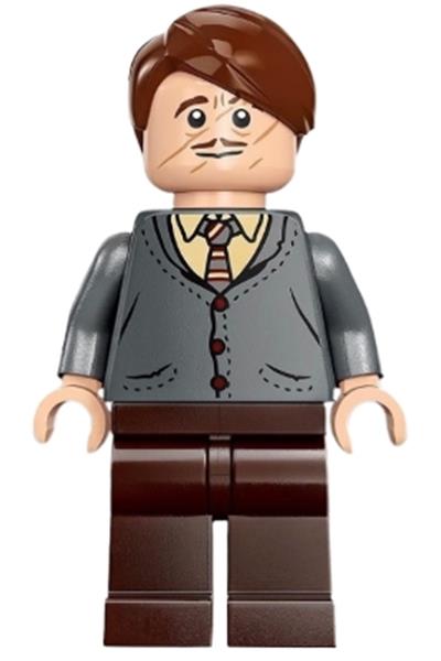 LEGO Professor Remus Lupin Minifigure hp420 | BrickEconomy