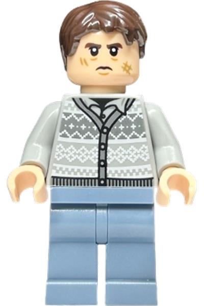 LEGO Neville Longbottom Minifigure hp425 | BrickEconomy