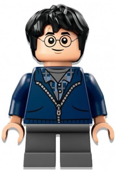 LEGO Harry Potter Minifigure hp495 | BrickEconomy