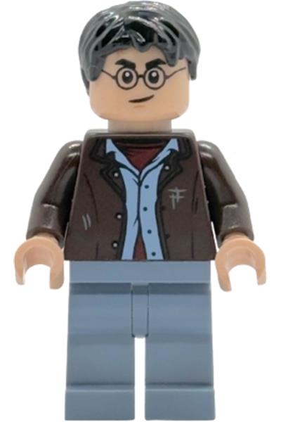 LEGO Harry Potter Minifigure hp528 | BrickEconomy