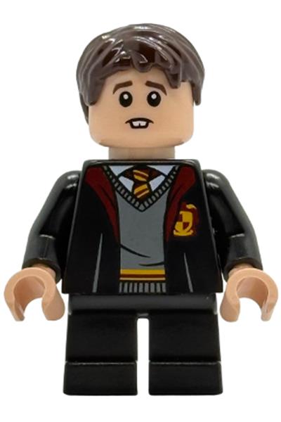 LEGO Neville Longbottom Minifigure hp543 | BrickEconomy