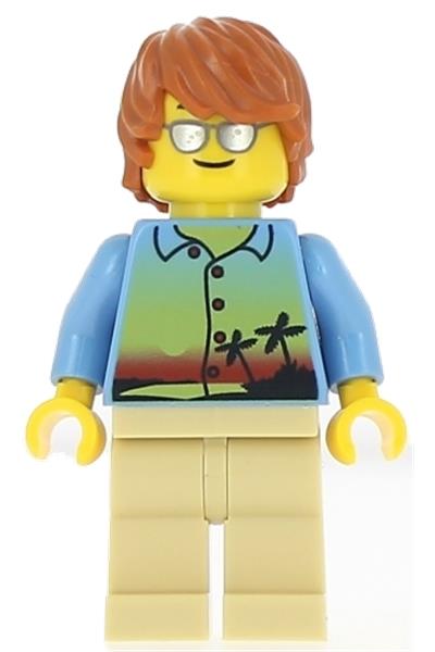LEGO Dad Minifigure twn245a | BrickEconomy