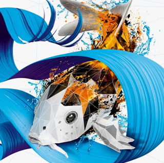 LEGO FORMA Sets | BrickEconomy