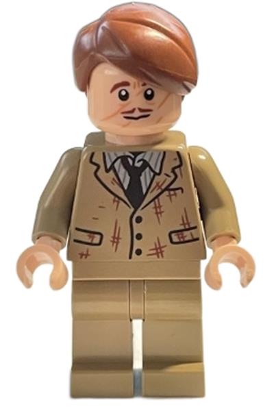 LEGO Professor Remus Lupin Minifigure hp367 | BrickEconomy