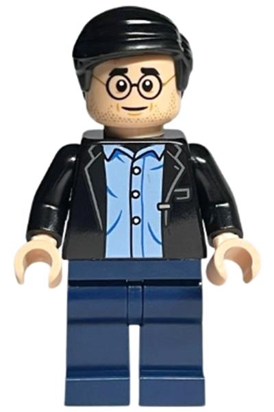 LEGO Harry Potter Minifigure hp387 | BrickEconomy
