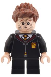 LEGO Seamus Finnigan Minifigure hp491 | BrickEconomy
