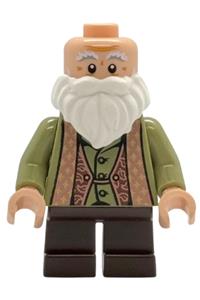 LEGO Professor Filius Flitwick hp536 | BrickEconomy