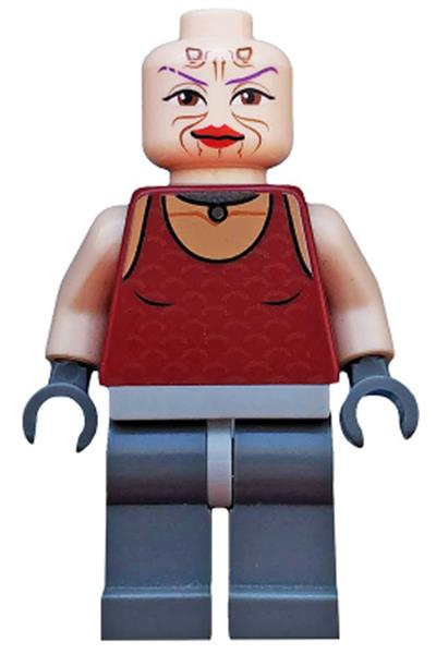 LEGO Sugi Minifigure sw0305 | BrickEconomy