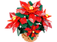 LEGO 10370 Botanical Collection Poinsettia | BrickEconomy