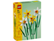 LEGO 40747 Botanical Collection Daffodils | BrickEconomy
