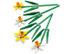 LEGO 40747 Botanical Collection Daffodils | BrickEconomy
