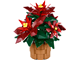 LEGO 10370 Botanical Collection Poinsettia | BrickEconomy